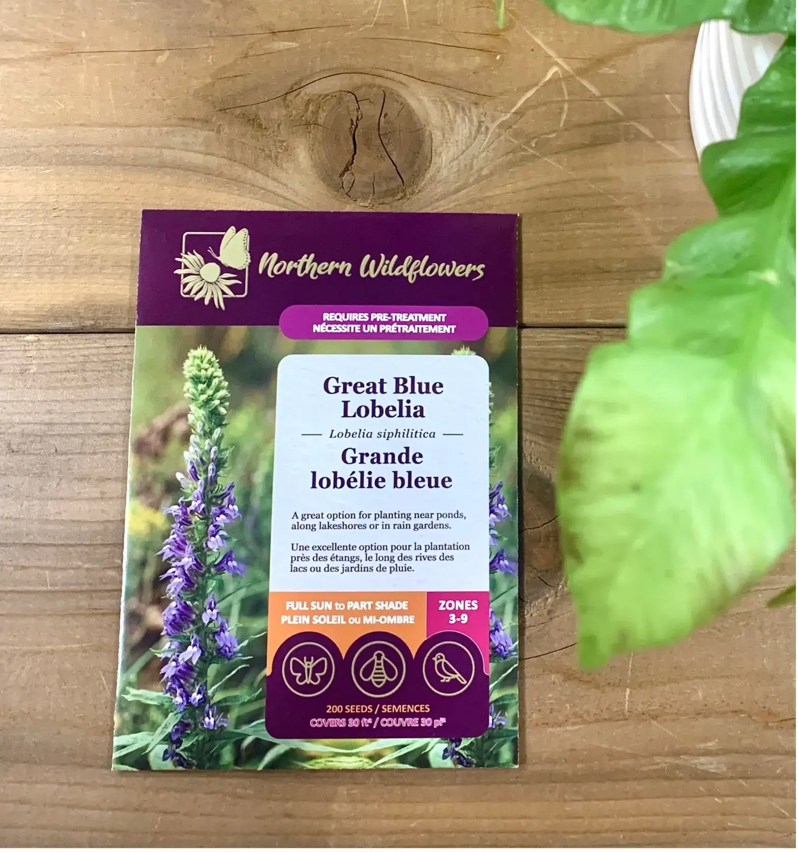 Great Blue Lobelia Seed – Land Care Niagara