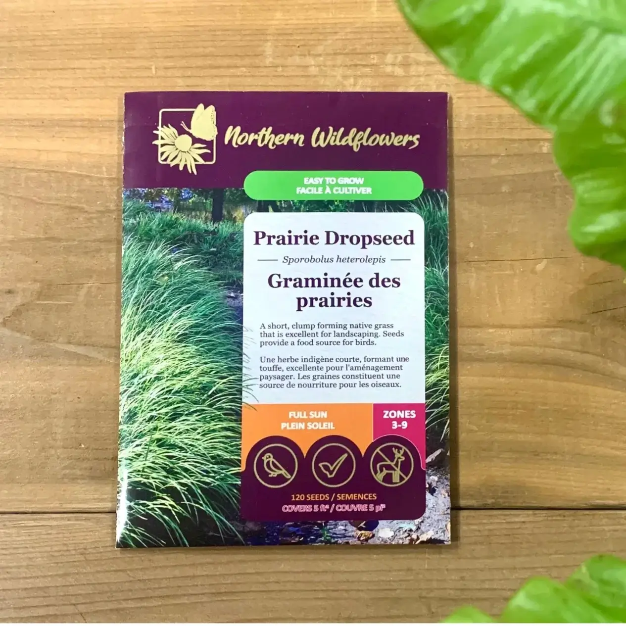 Prairie Dropseed Seed – Land Care Niagara