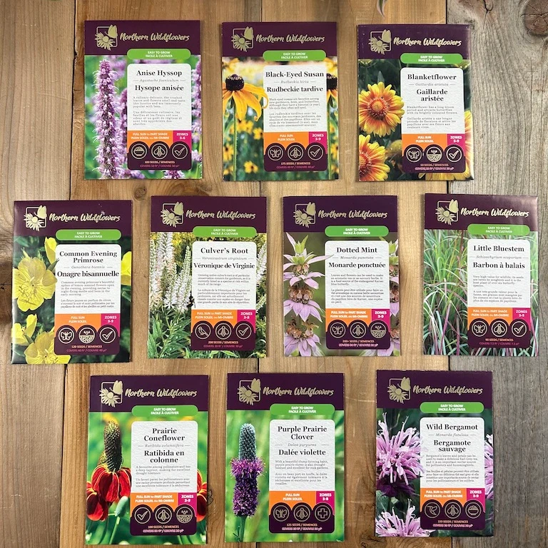 Easy to Grow Wildflower Collection – Land Care Niagara